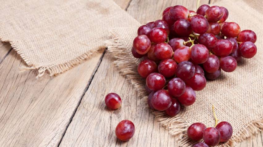 Beneficios y propiedades de la vid roja - Herdibel